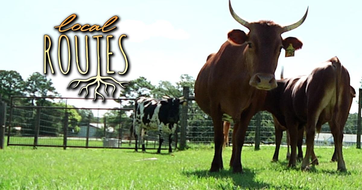 Local Routes | Season 2 | Local Routes-Episode 204 | PBS