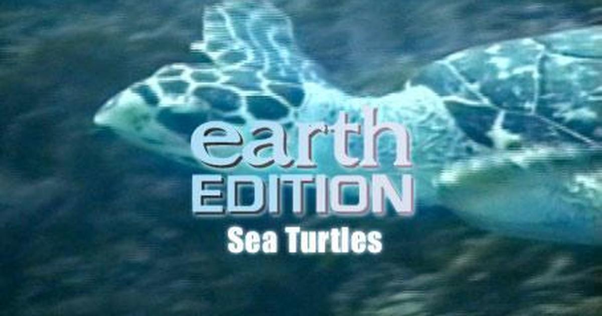 Earth Edition | PBS