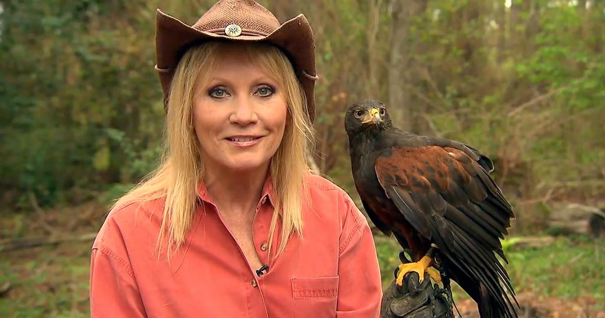 Georgia Outdoors | Raptors In Flight | Season 2013 | Episode 4 | PBS