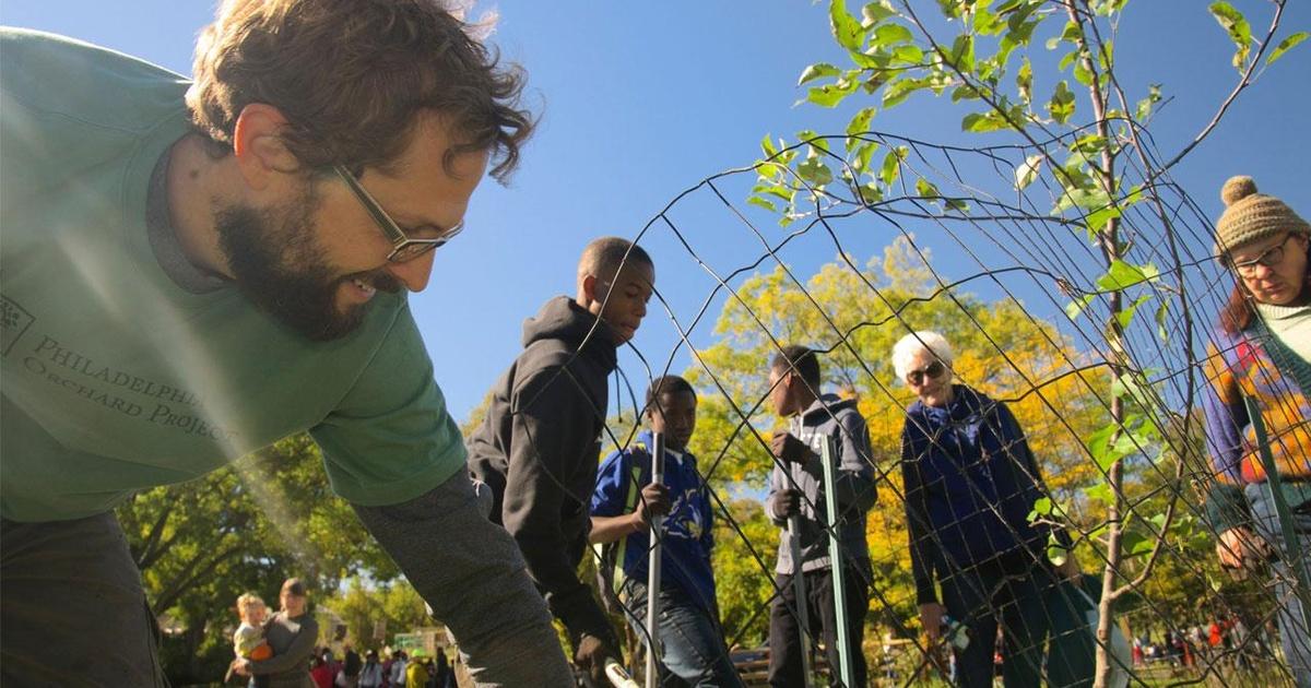 Friday Arts | Weed Identification Guide | PBS