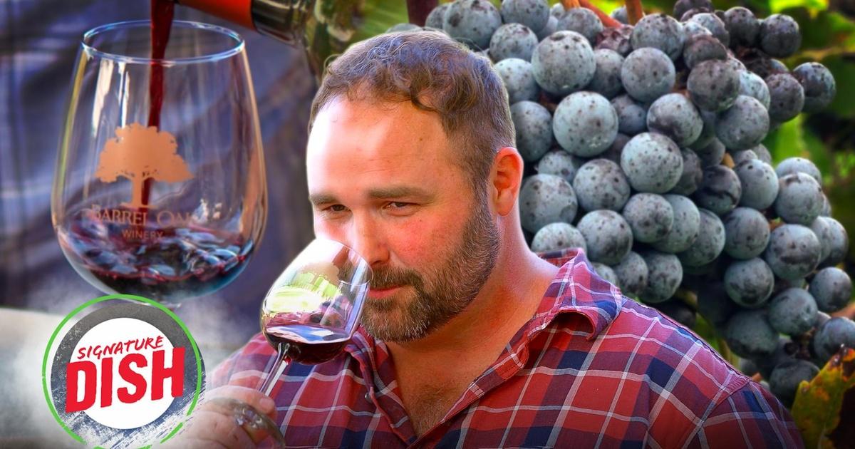 Signature Dish | Explore Ancient and Modern Winemaking Techniques with ...