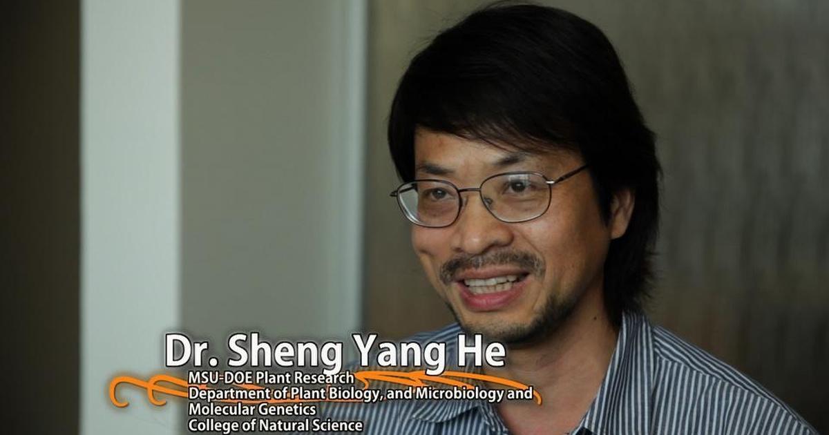 MSU Video | Sheng Yang He - University Distinguished Professor | SDPB