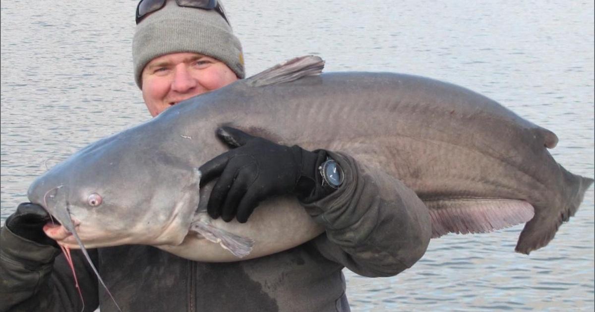 Kentucky Afield | The Return of Blue Catfish | Season 31 | Episode 19 | PBS