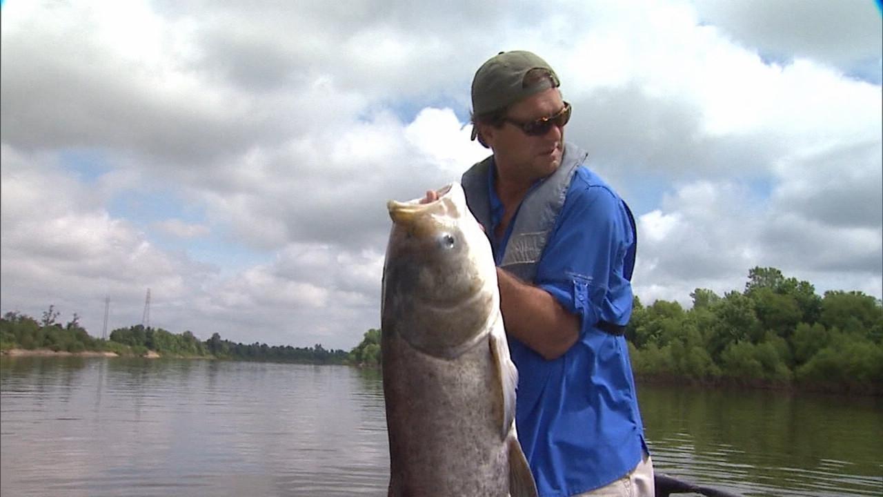 Asian Carp Fishing at Barkley Dam | Kentucky Afield