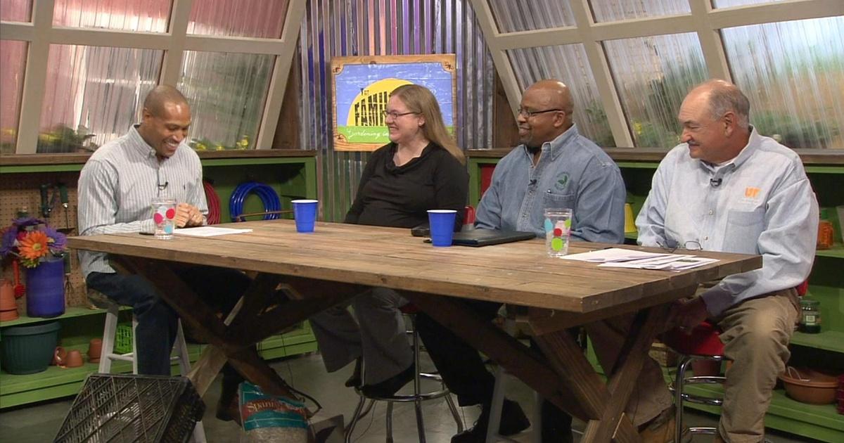 The Family Plot | Fall and Winter Gardening Questions | Season 3 ...