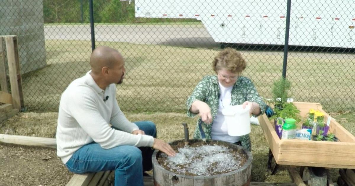 The Family Plot | Container Gardening with Herbs and Flowers | Season 6 ...