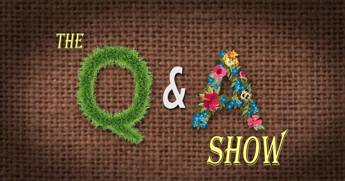 The Family Plot | The Q and A show | Season 6 | Episode 716 | PBS