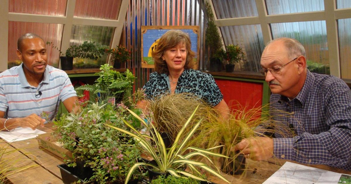 The Family Plot | Adding Color to the Winter Landscape | Season 2 ...