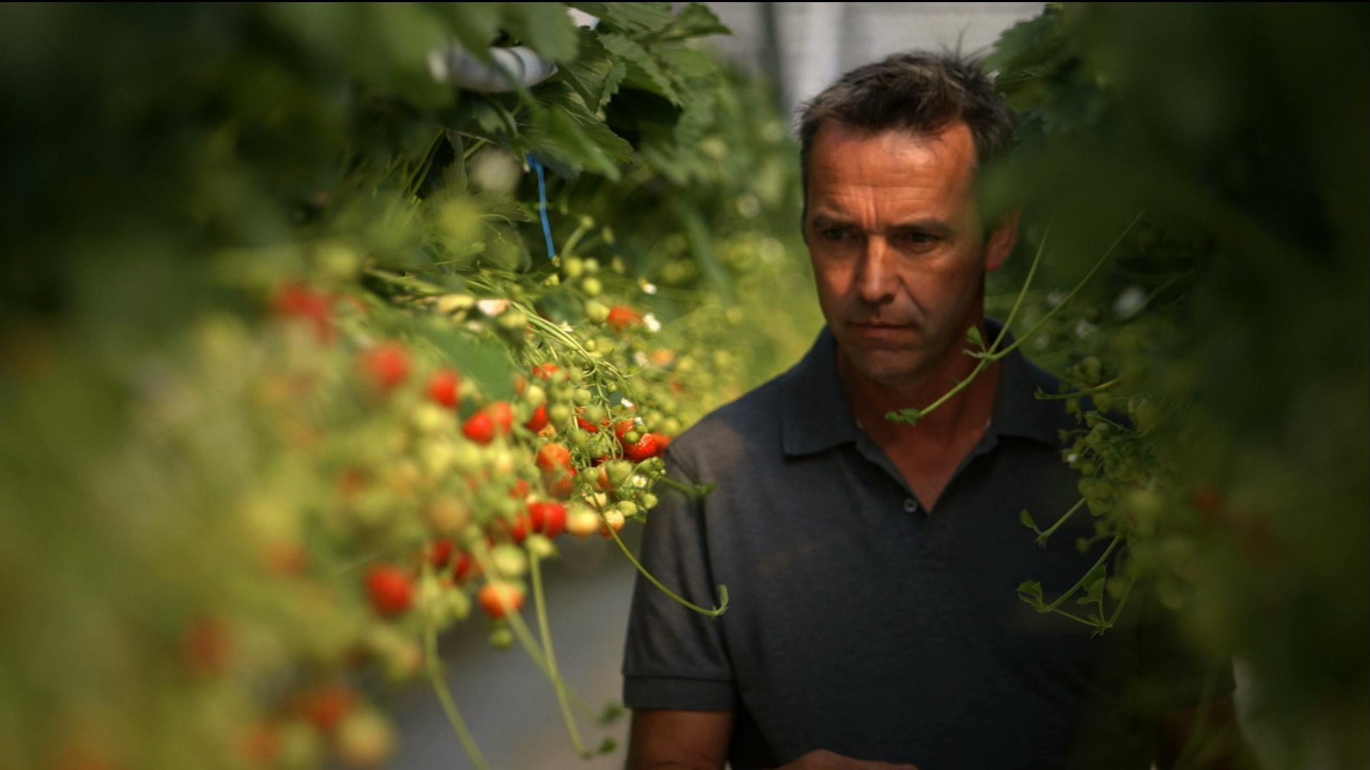 Eggs | Kevin Dundon's Modern Irish Food | THIRTEEN - New York Public Media