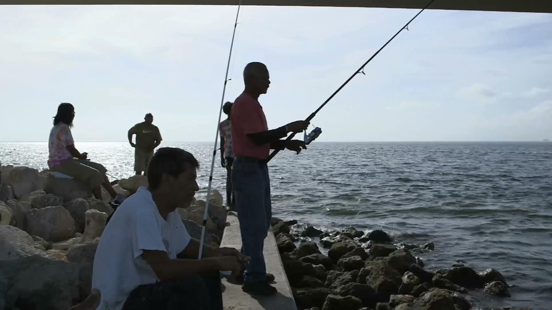 SciTech Now: SciTech Now Episode 229 | Cascade PBS