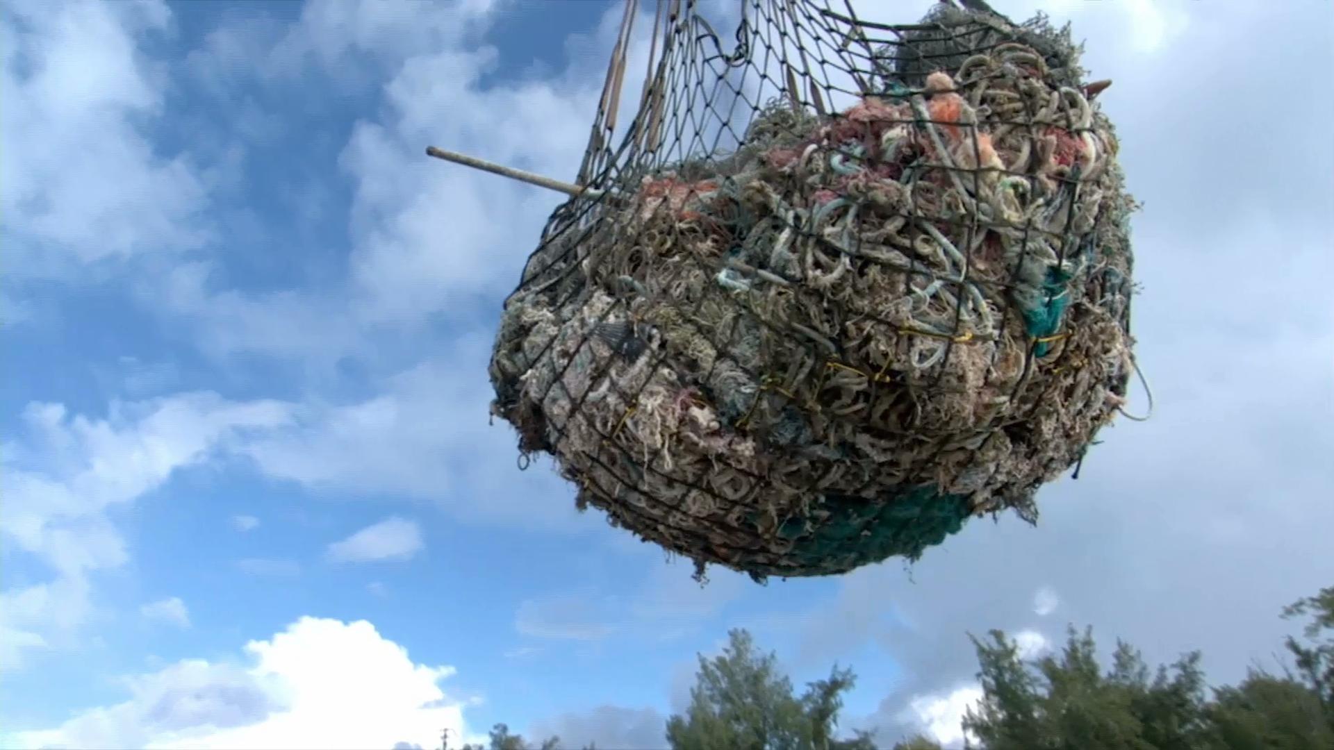 Marine garbage patches are taking a toll on our ecosystem | SciTech Now ...