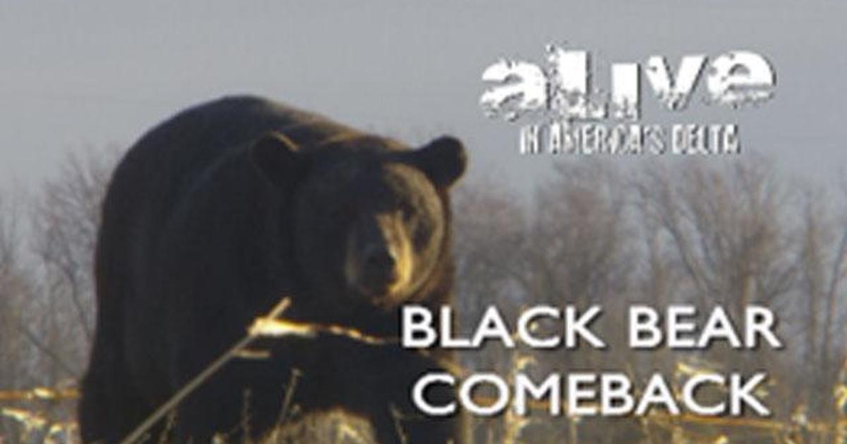 Louisiana Public Broadcasting Presents | Alive! In America’s Delta ...