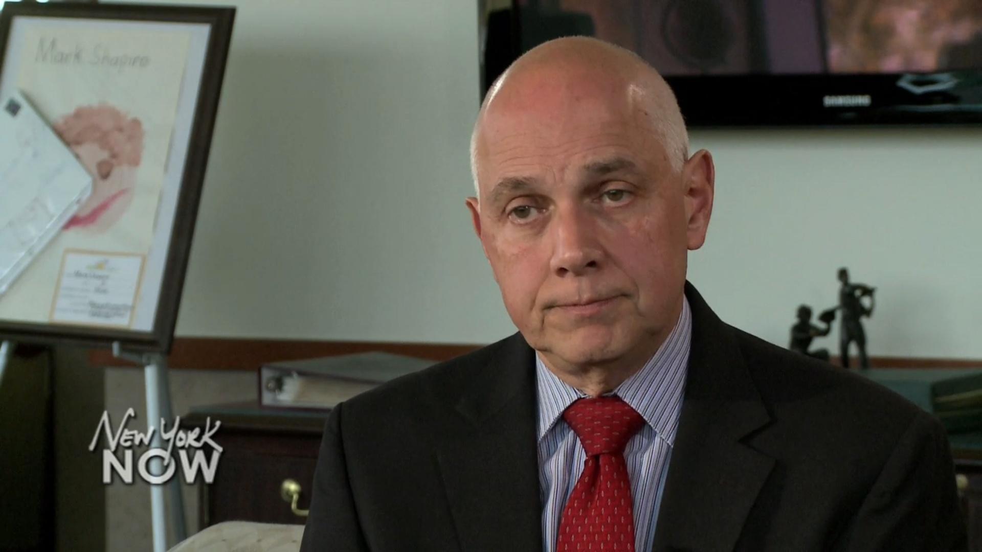 Ianuzzi on Common Core | New York NOW | THIRTEEN - New York Public Media