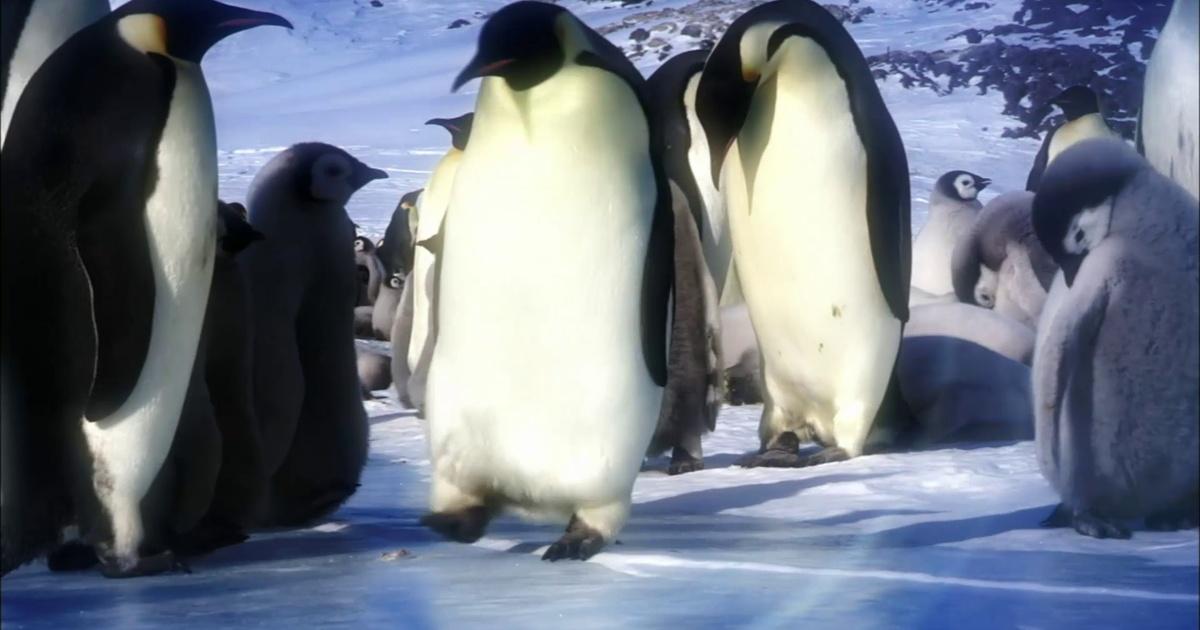 MetroFocus | 9/25: Bridges, Homeless Veterans, Penguins, Tony Bennett | PBS