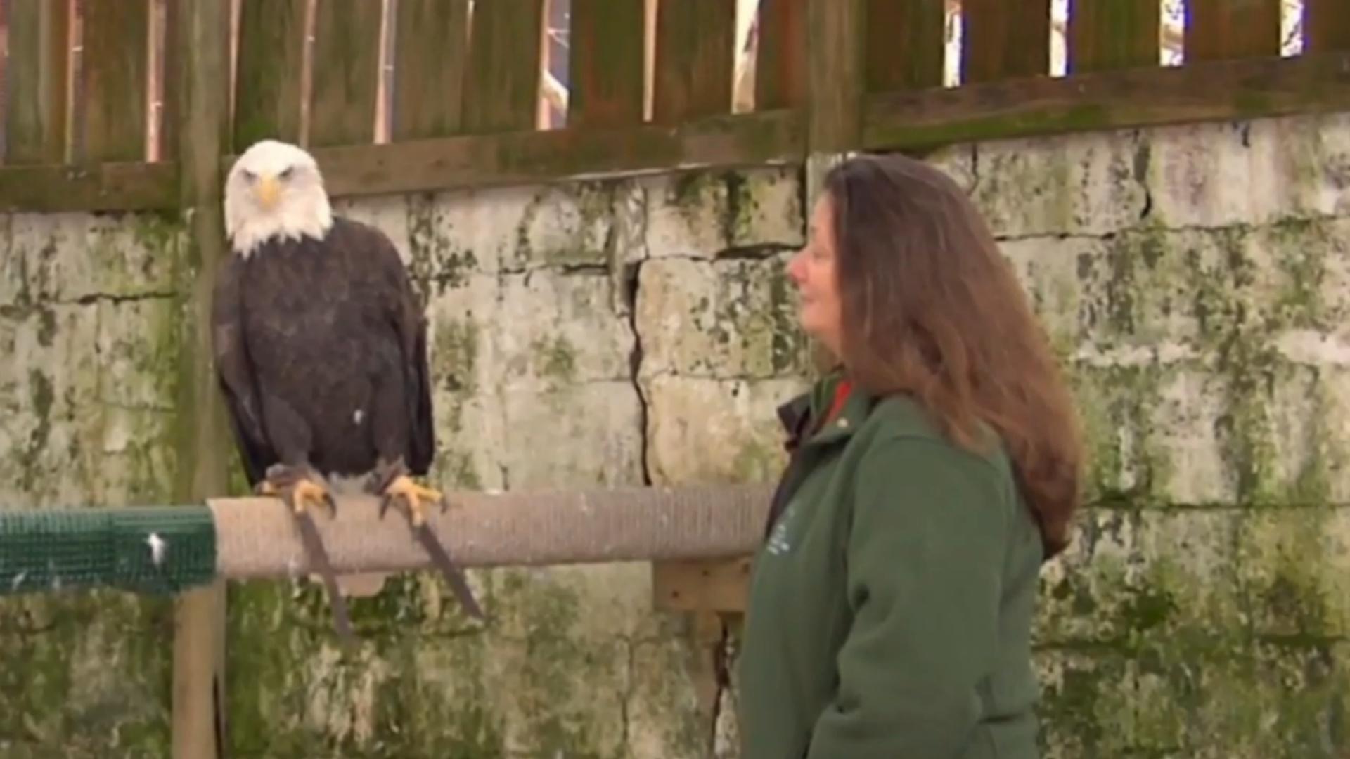 Preview 2/5:Sheldon Silver,Affordable Housing,Cancer,Dr.Ruth ...