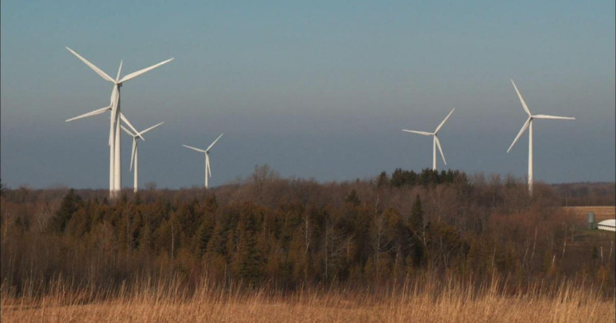 New York Documentaries | Going Green New York | PBS