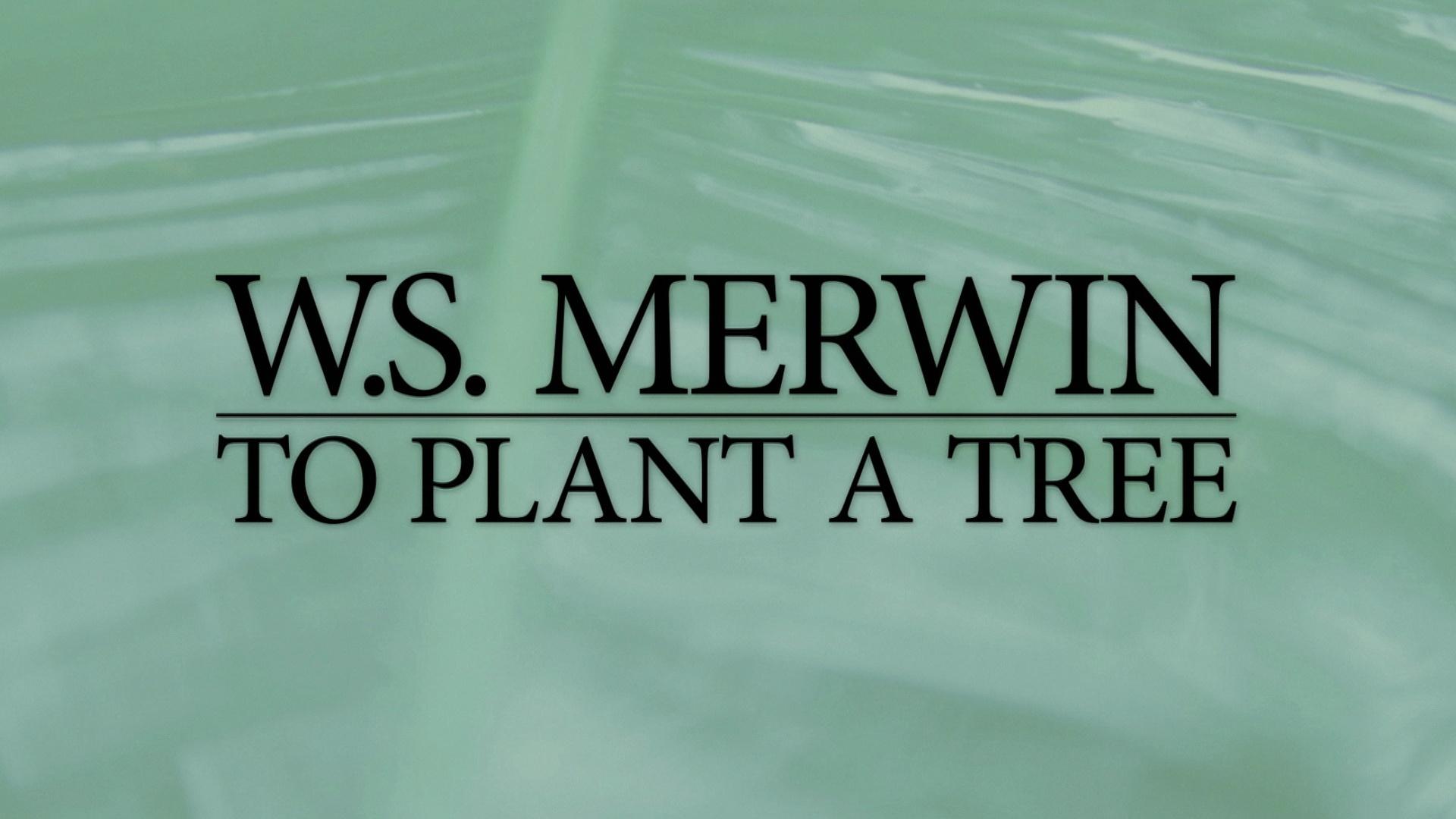 W.S. Merwin: To Plant a Tree Preview | W.S. Merwin: To Plant a Tree ...