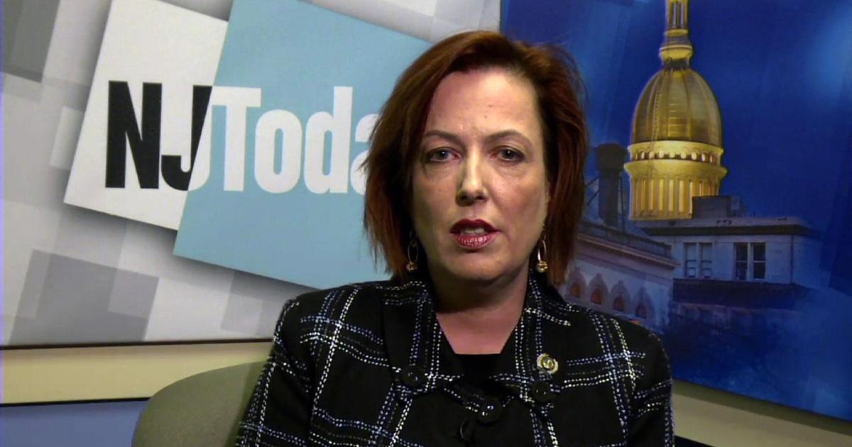 NJTV News | Asw. Alison McHose Says Current Gun Laws Are Strict Enough ...