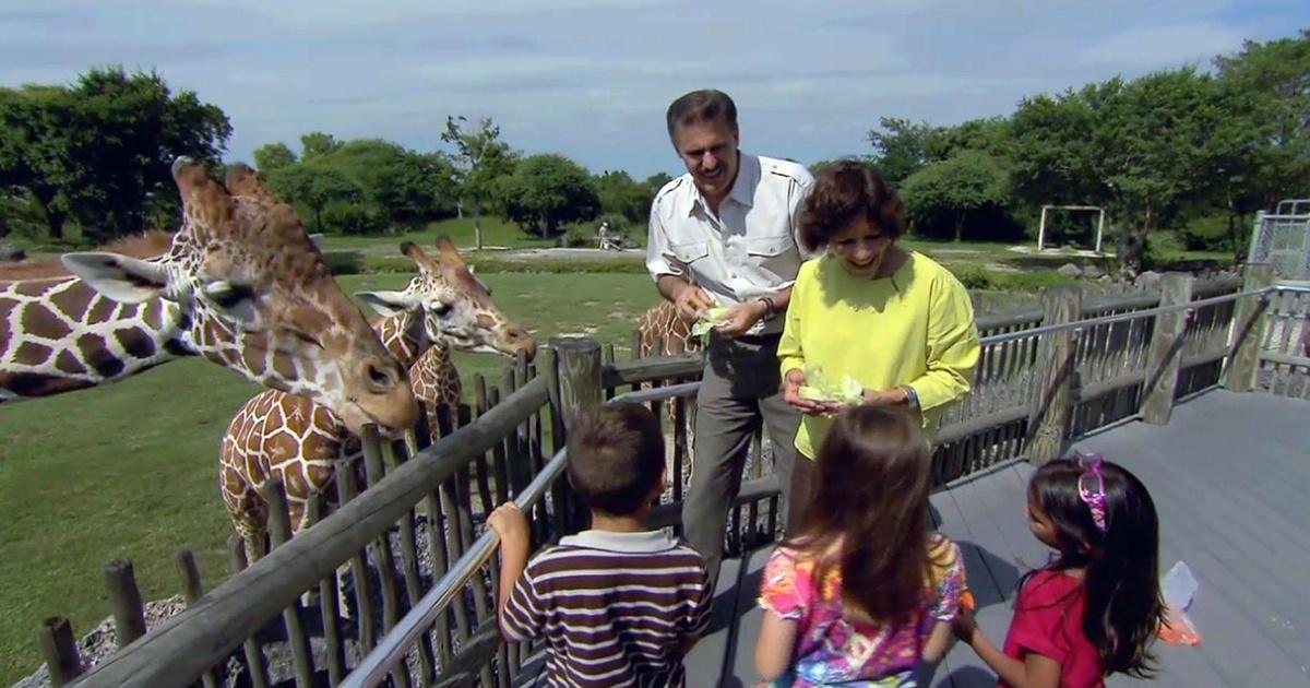 KidVision Pre-K | Zoo | Season 2 | Episode 3 | PBS