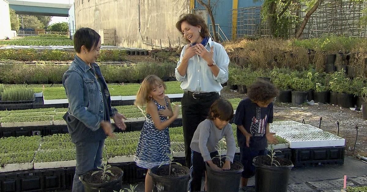 KidVision Pre-K | G.R.O.W. Project | Season 4 | Episode 7 | PBS