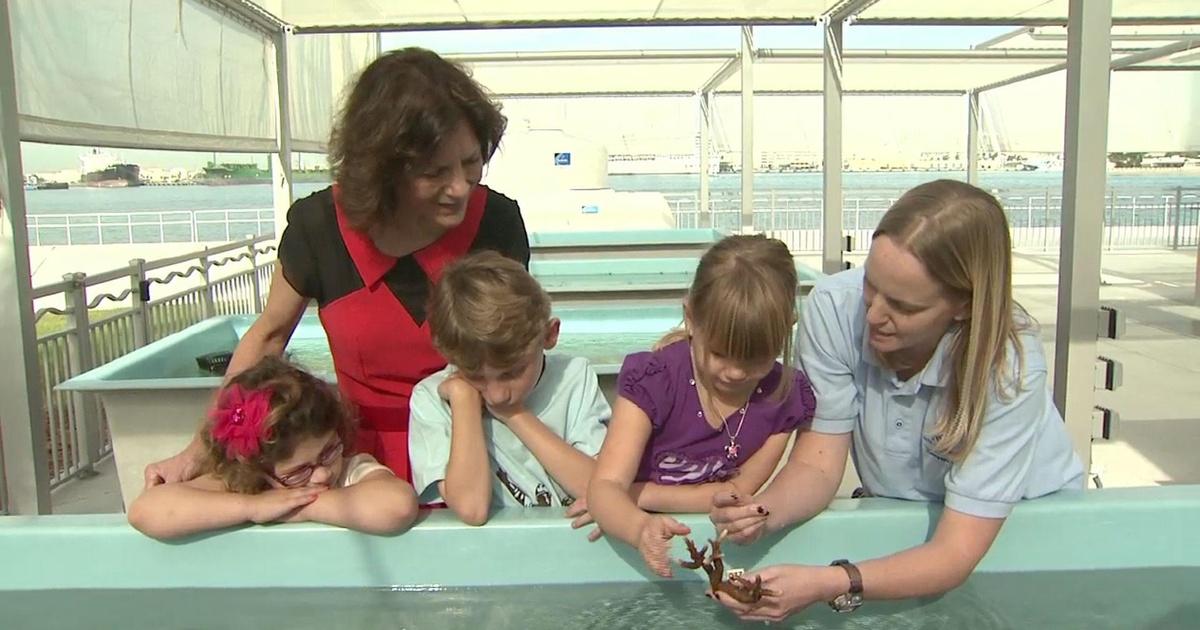KidVision Pre-K | Oceanographic Center | Season 4 | Episode 9 | PBS