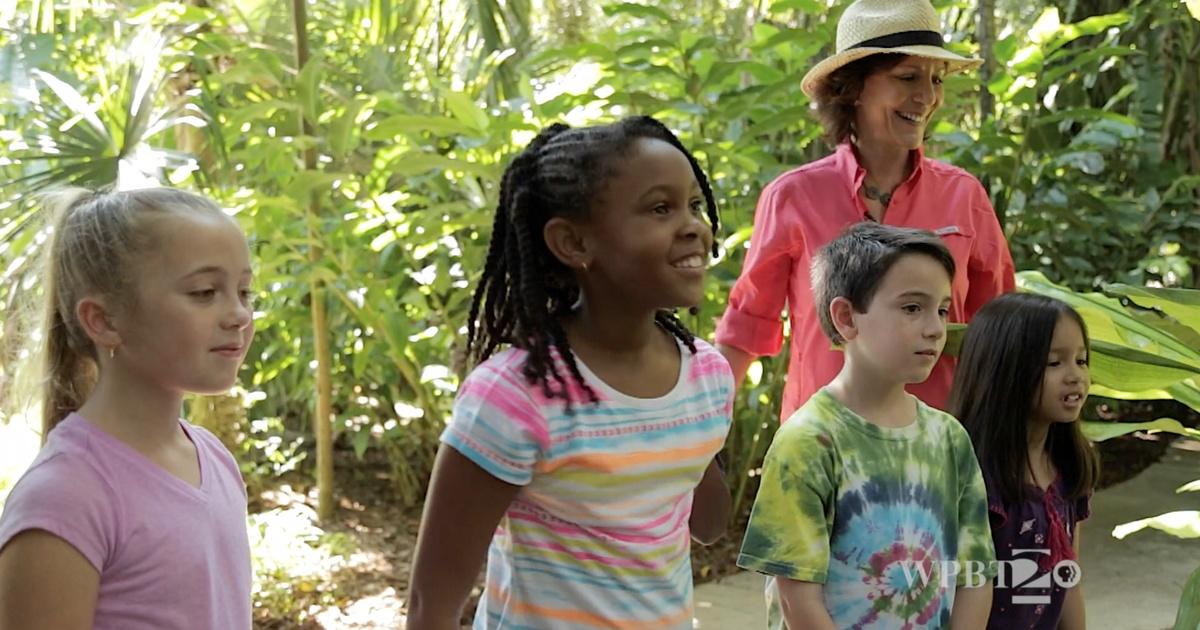 KidVision Pre-K | Rainforest | Season 7 | Episode 3 | PBS
