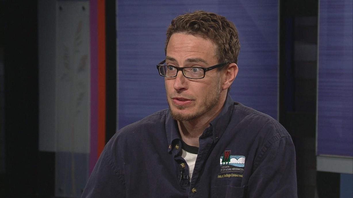 White Nose Syndrome Threatening Wisconsin Bats | Watch on PBS Wisconsin