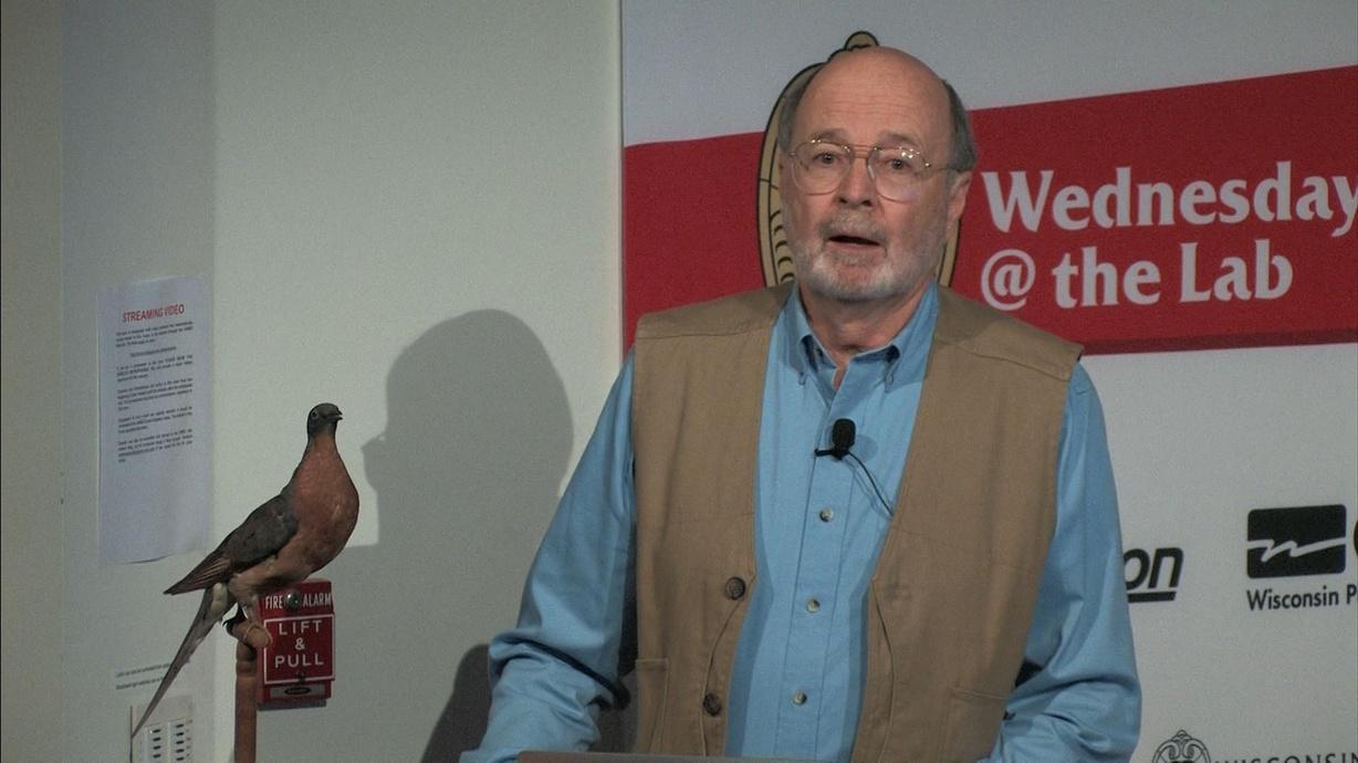 The Extinction of the Passenger Pigeon | Watch on PBS Wisconsin