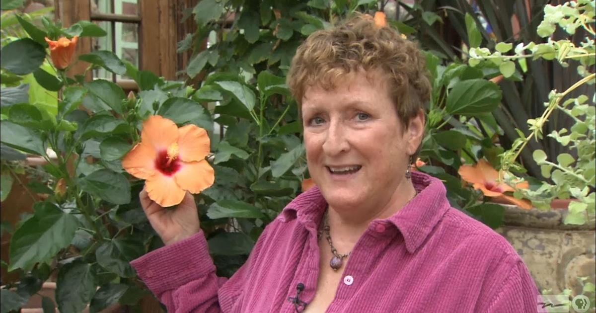 The Wisconsin Gardener | Celebrating Shelley Ryan | PBS
