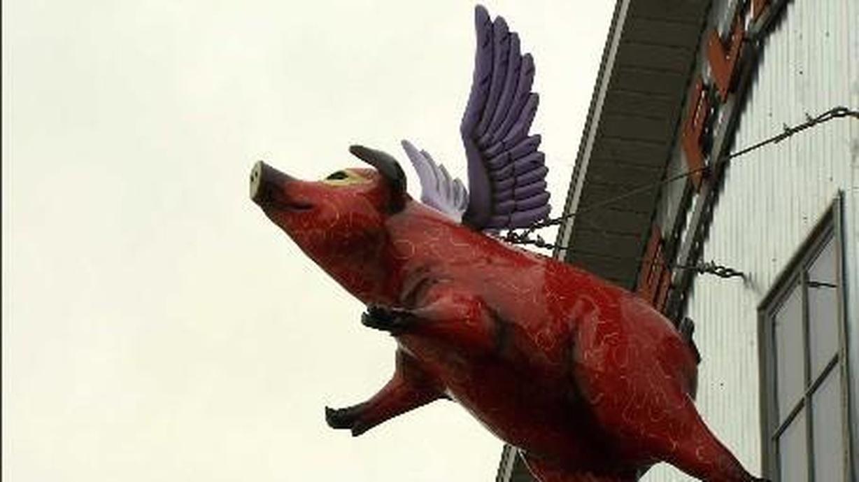 The Flying Pig | Watch on PBS Wisconsin