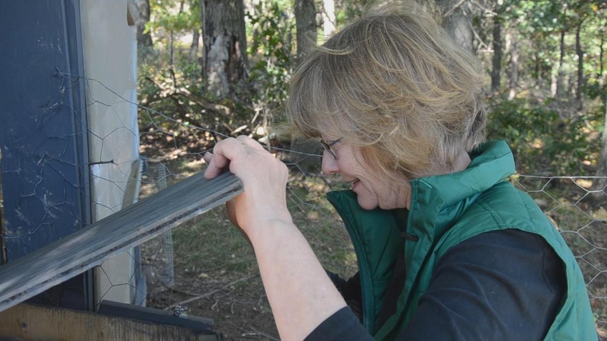 Cluck | Watch on PBS Wisconsin