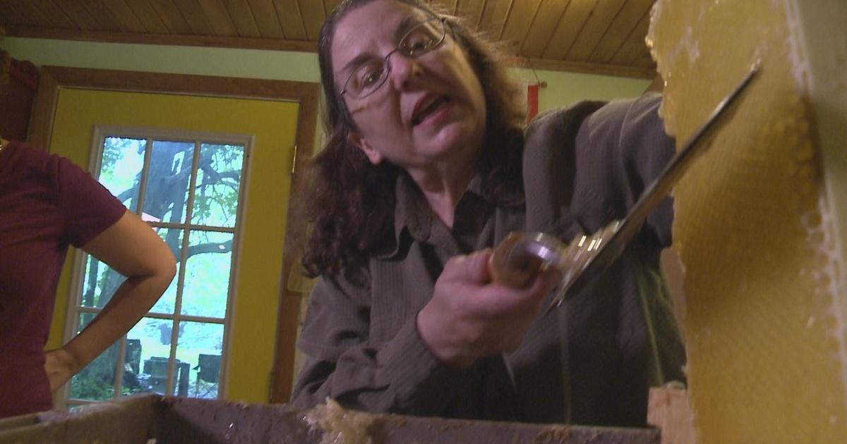 Wisconsin Life | Alexander the Great Preserved in Honey | Season 4 ...