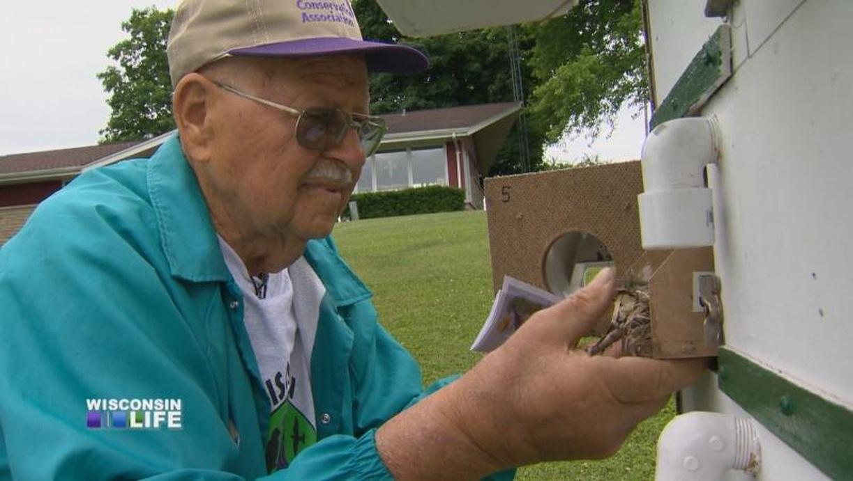 Purple Martin People | Watch Wisconsin Life on PBS Wisconsin