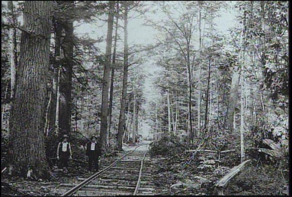 Sesquicentennial Minutes: 1946 | Yawkee-Bissell Lumber | Watch on PBS ...