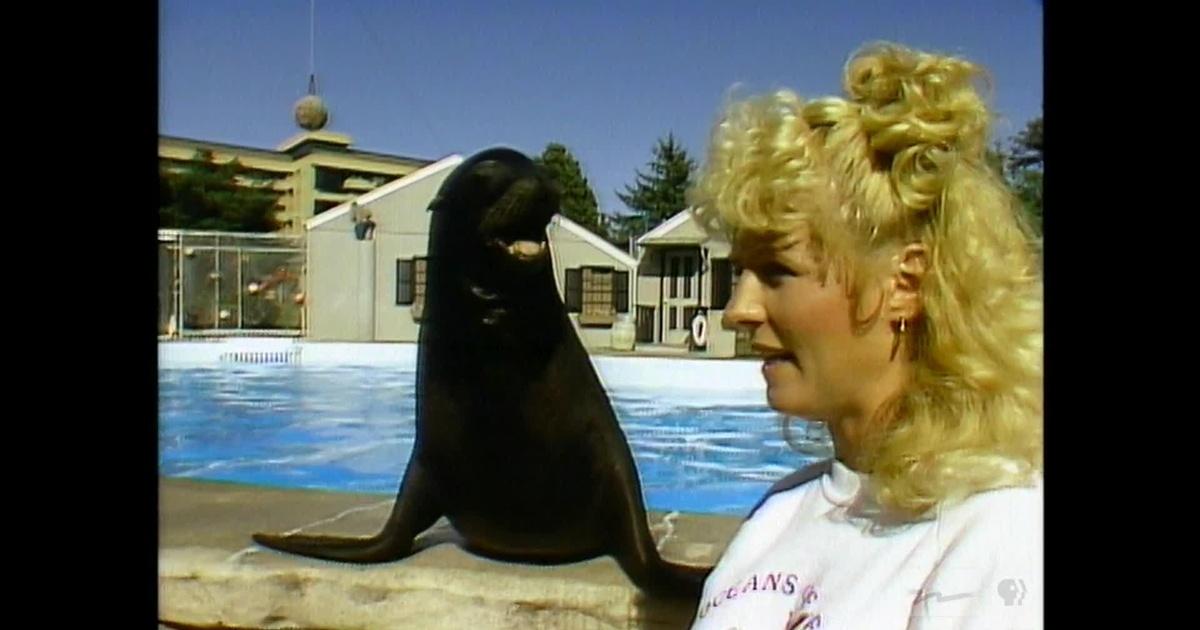 WPT Archives: 1990s | Get Real: Season 1 Episode 4 | PBS