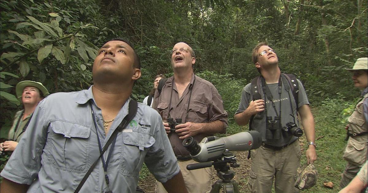 PBS Wisconsin Documentaries | Carlos, A Birding Guide | WUFT