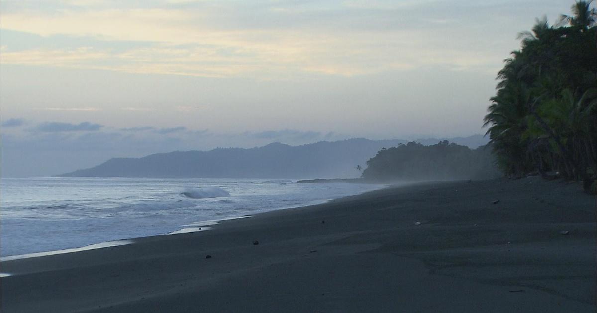 PBS Wisconsin Documentaries | Canopy Tower and Birding in Panama | PBS