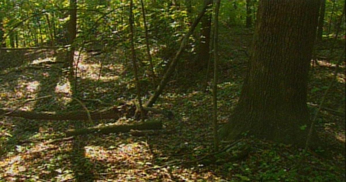 K-12 Multimedia Resources | Ohio Rocks: Flint Ridge State Memorial Park ...