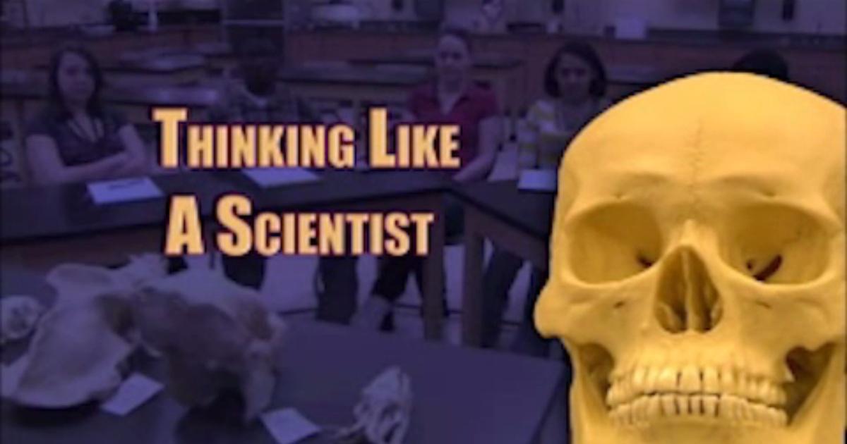 K-12 Multimedia Resources | You At The Zoo - Thinking Like a Scientist ...