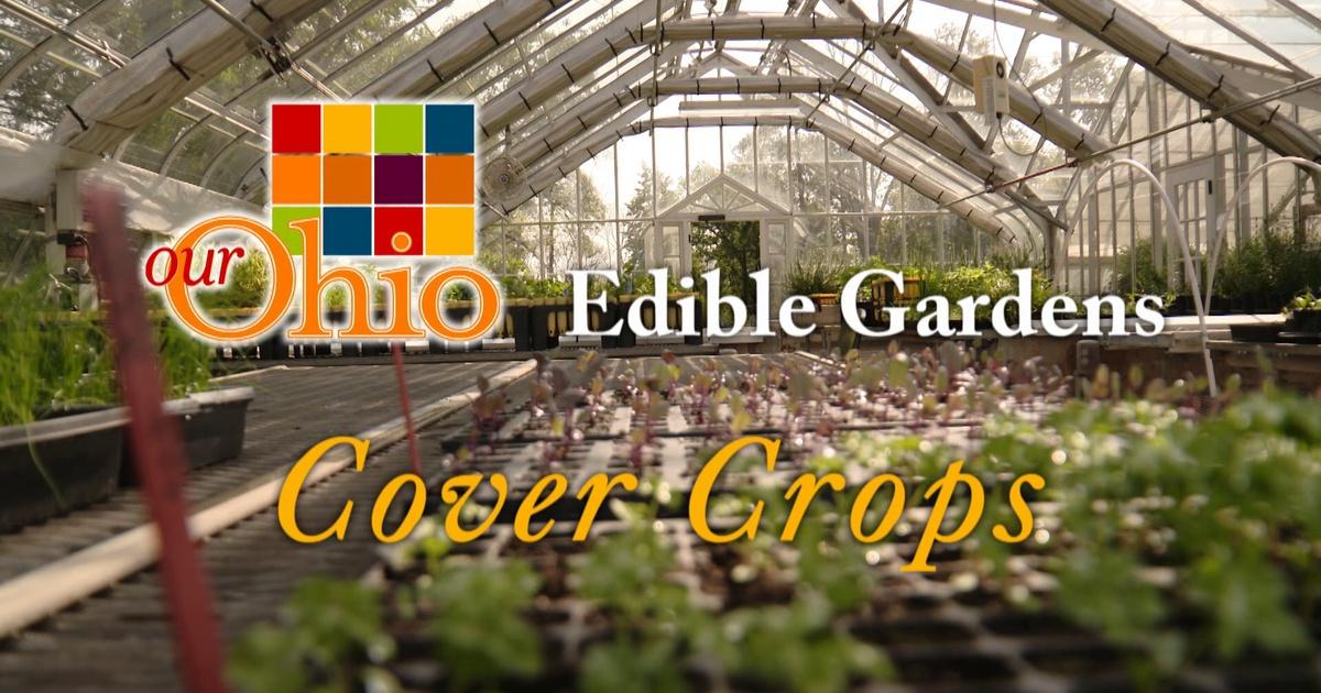 Our Ohio | Edible Gardens - Cover Crops | PBS