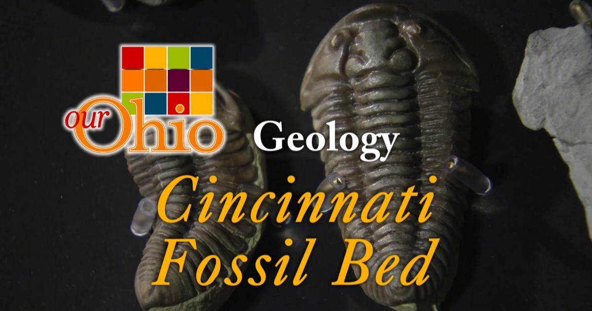 Our Ohio | Geology: Cincinnati Fossil Bed | PBS
