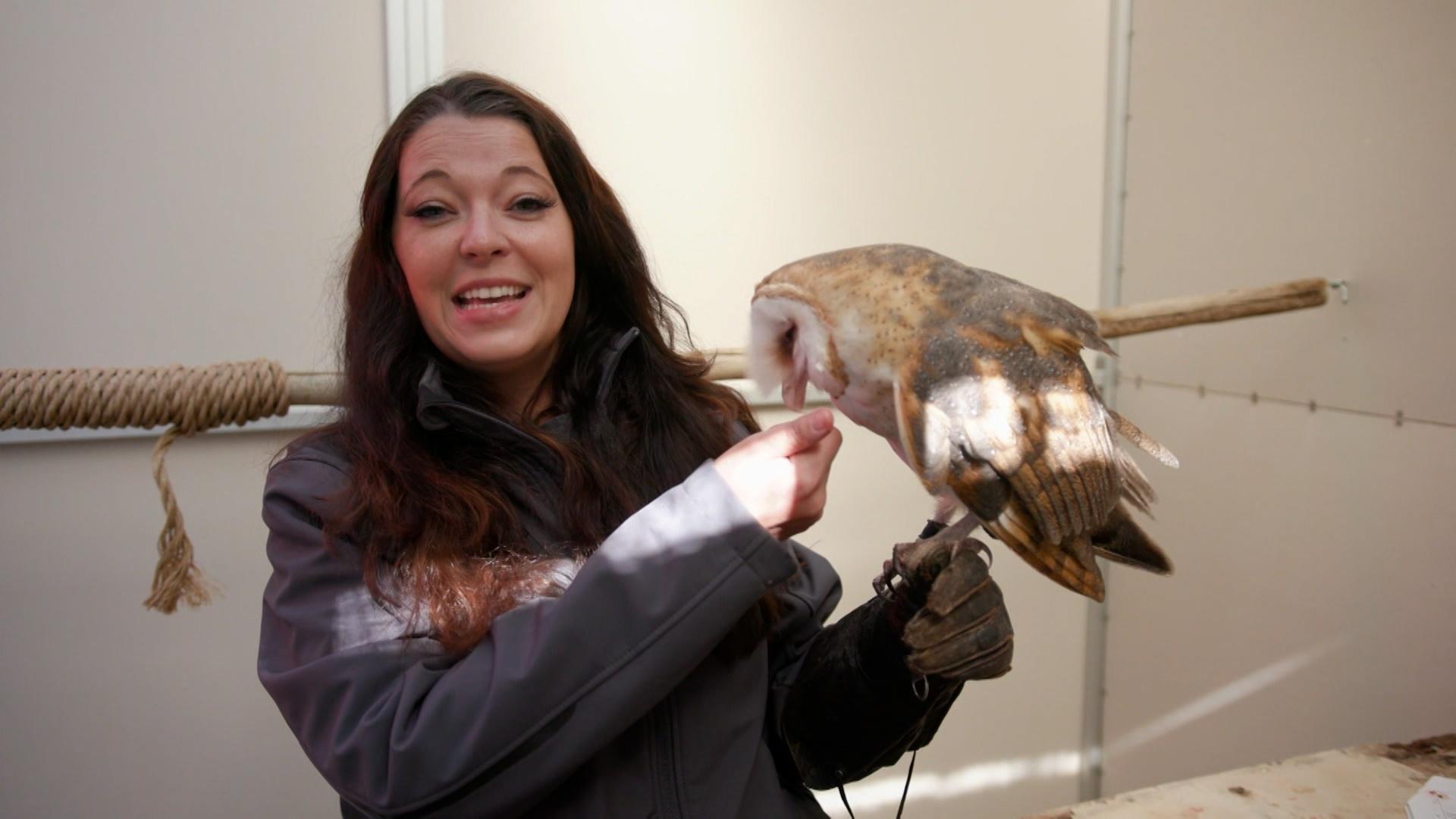 ANIMAL SENSES | Let's Learn | THIRTEEN - New York Public Media