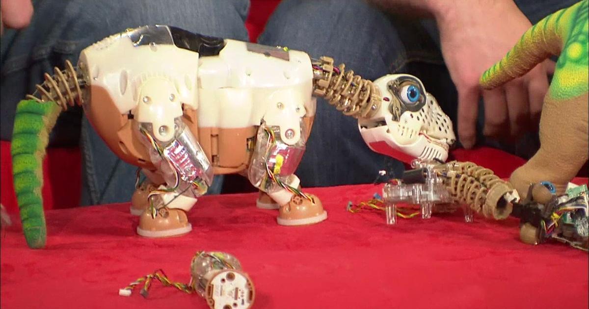 The Friday Zone | Beep Boop | PBS