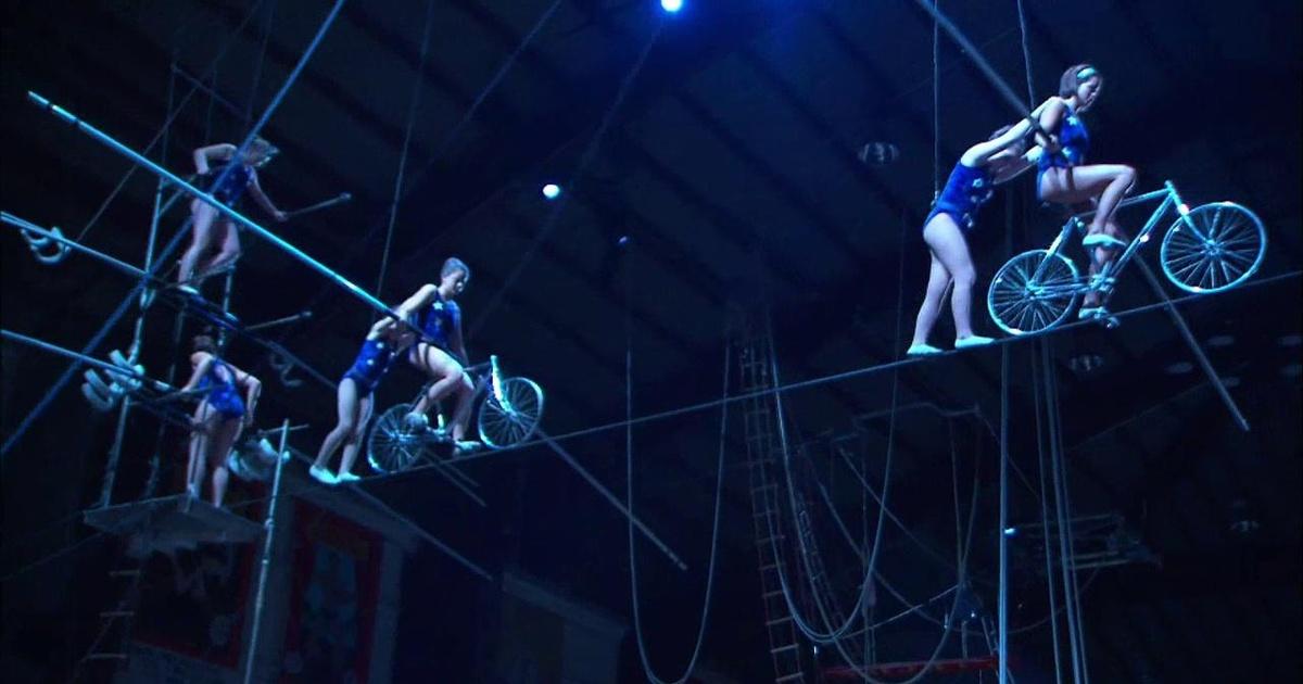 The Weekly Special | Circus Circus | PBS