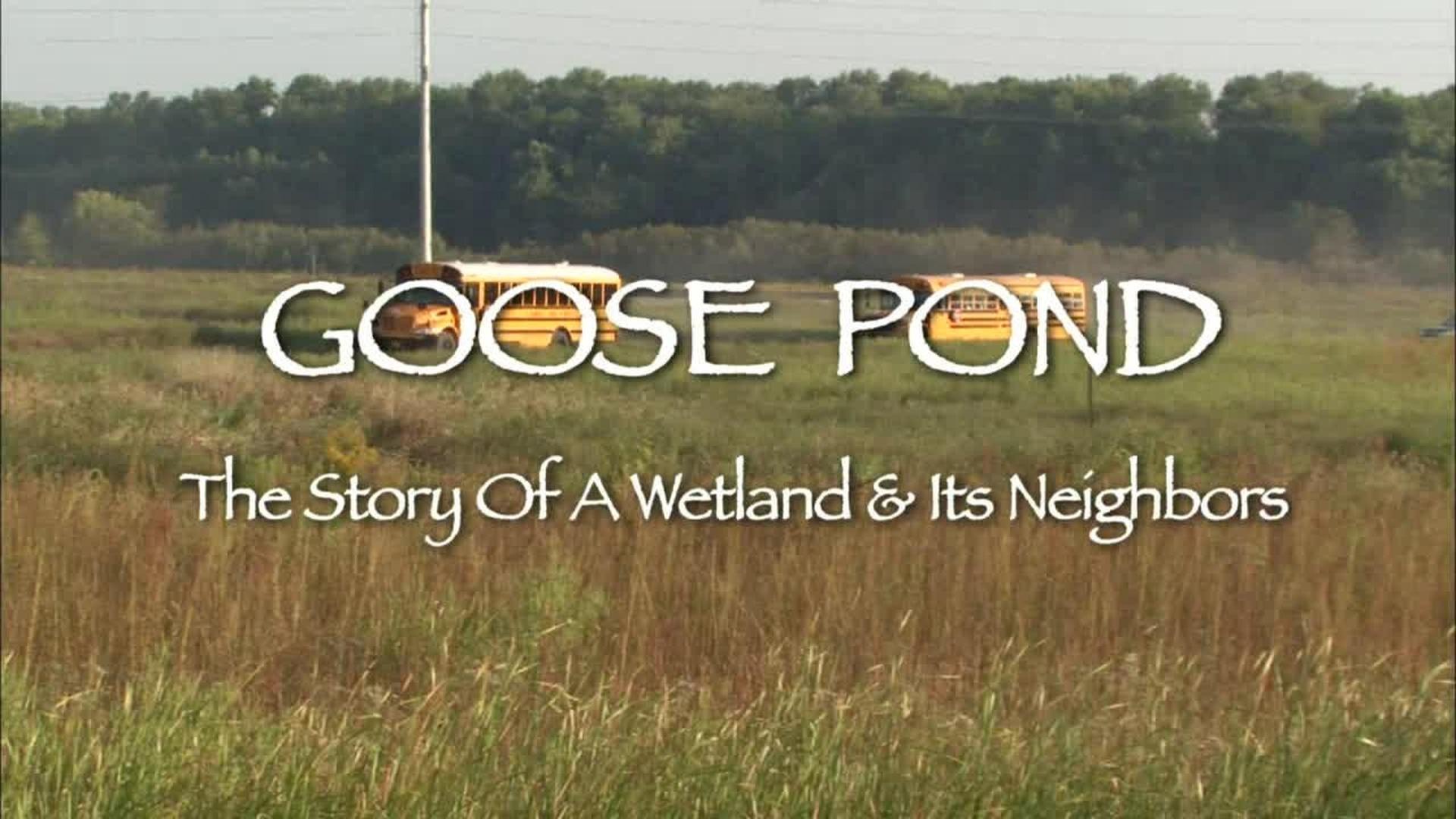 Goose Pond: The Story of a Wetland and Its Neighbors | WTIU ...