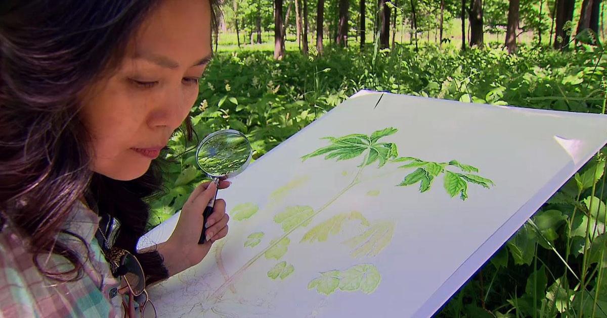 Jay's Chicago | Extraordinary Artists | Season 2016 | Episode 1 | PBS