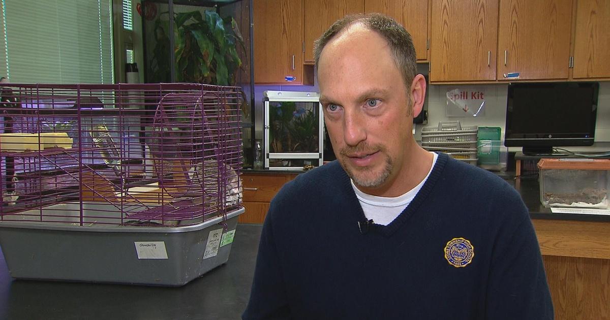 Golden Apple 2016 Fellow: Jason Crean | Season 2016 Episode 05/30/2016 ...