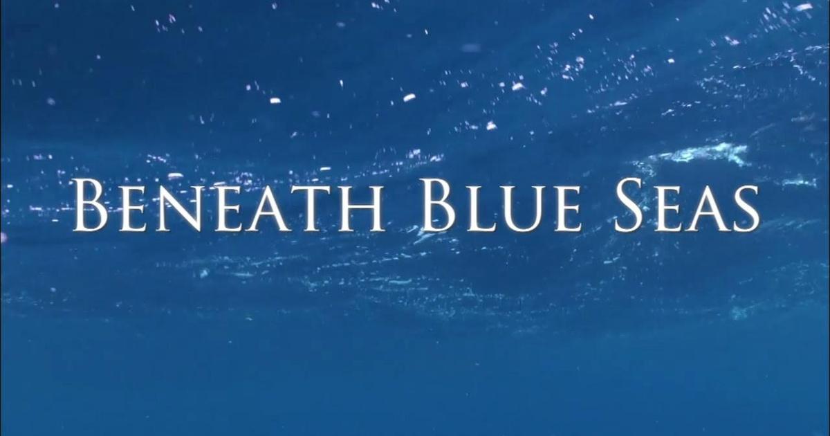 WTTW Promos and Previews | Beneath Blue Seas | PBS