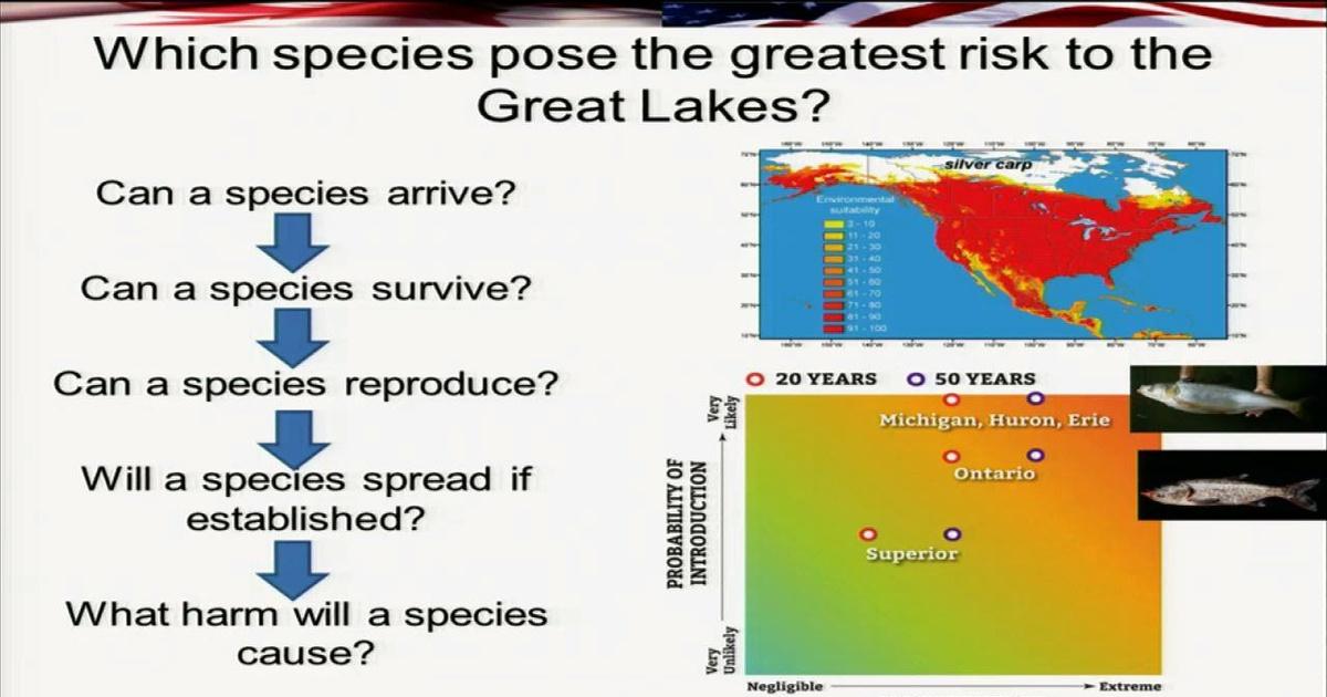 Great Lakes Now | Addressing the Threat of Aquatic Invasive Species | PBS