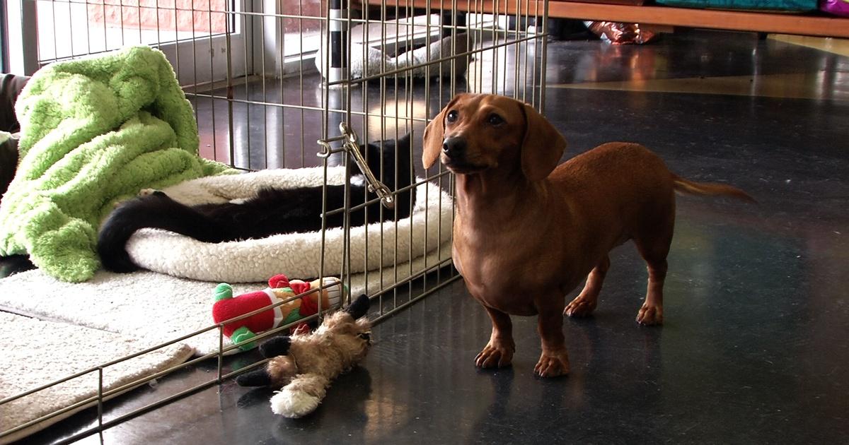 ONE CENTRAL FLORIDA | Idgie & Ruth | Season 2014 | Episode 25 | PBS